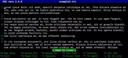 How to Install and Configure Nano on CentOS 8 | Liquid Web